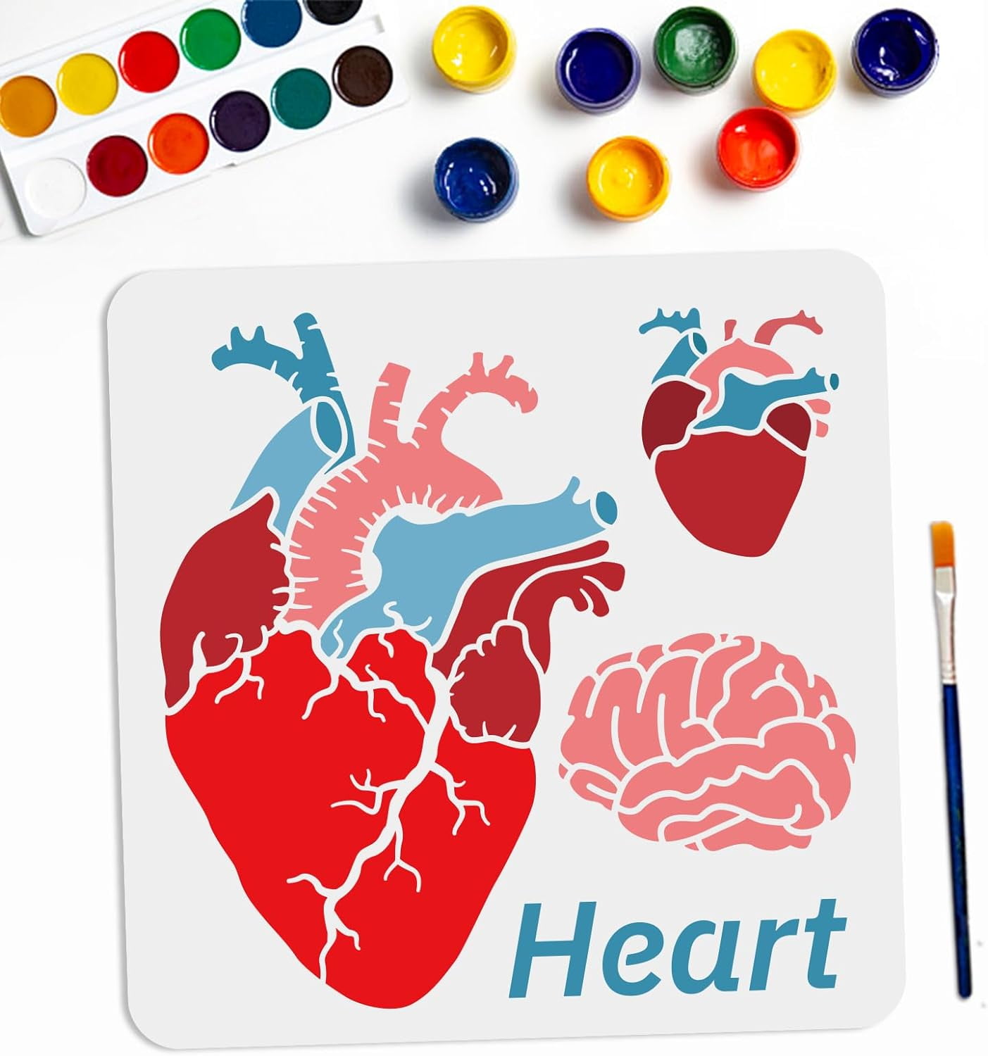 Heart Brain Stencils Heart Anatomical Stencil Heart Stencil Template ...