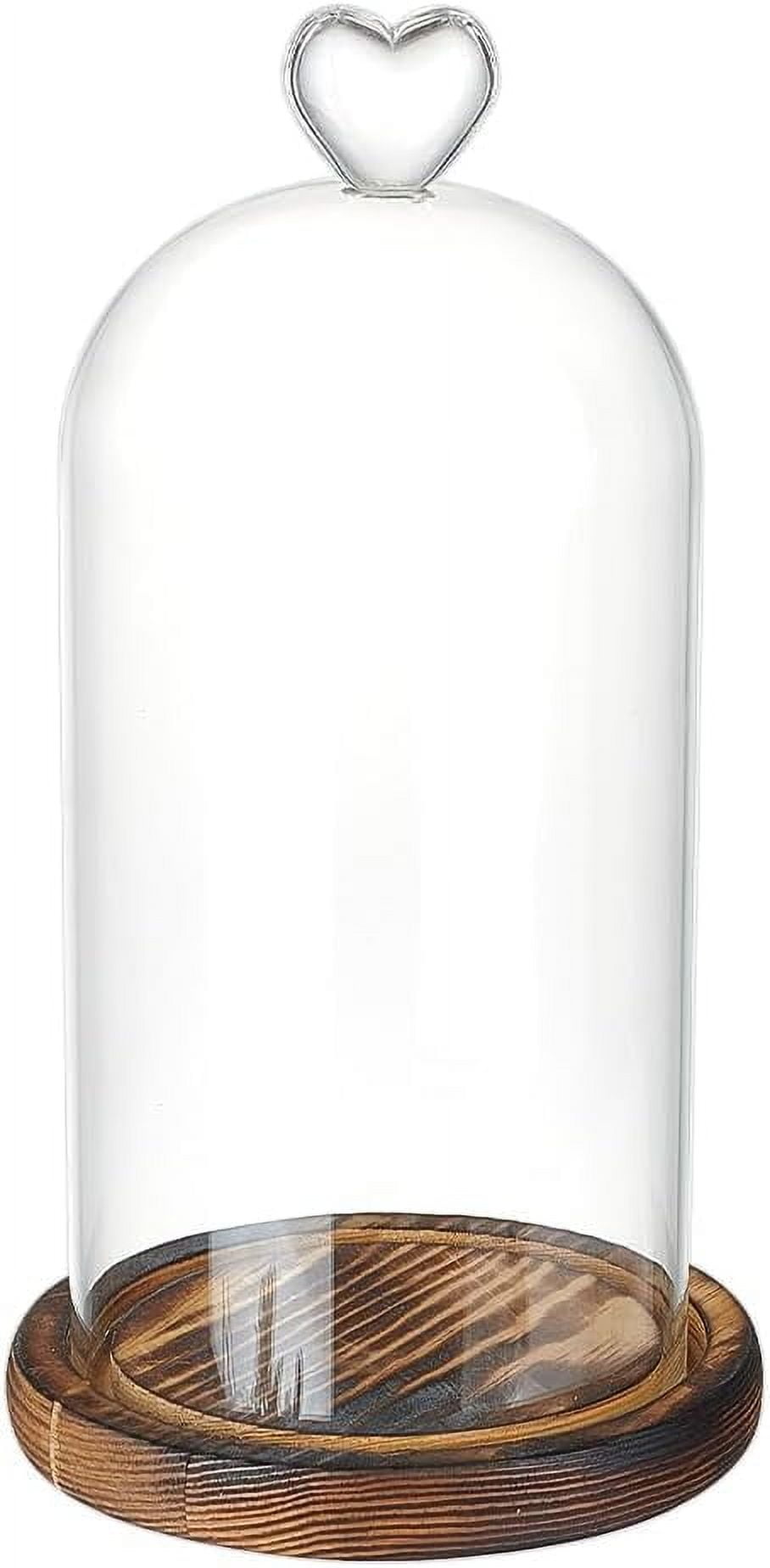 Heart Glass Dome 4.72x9.45 Inch Cloche Bell Jar Terrarium with Wood ...