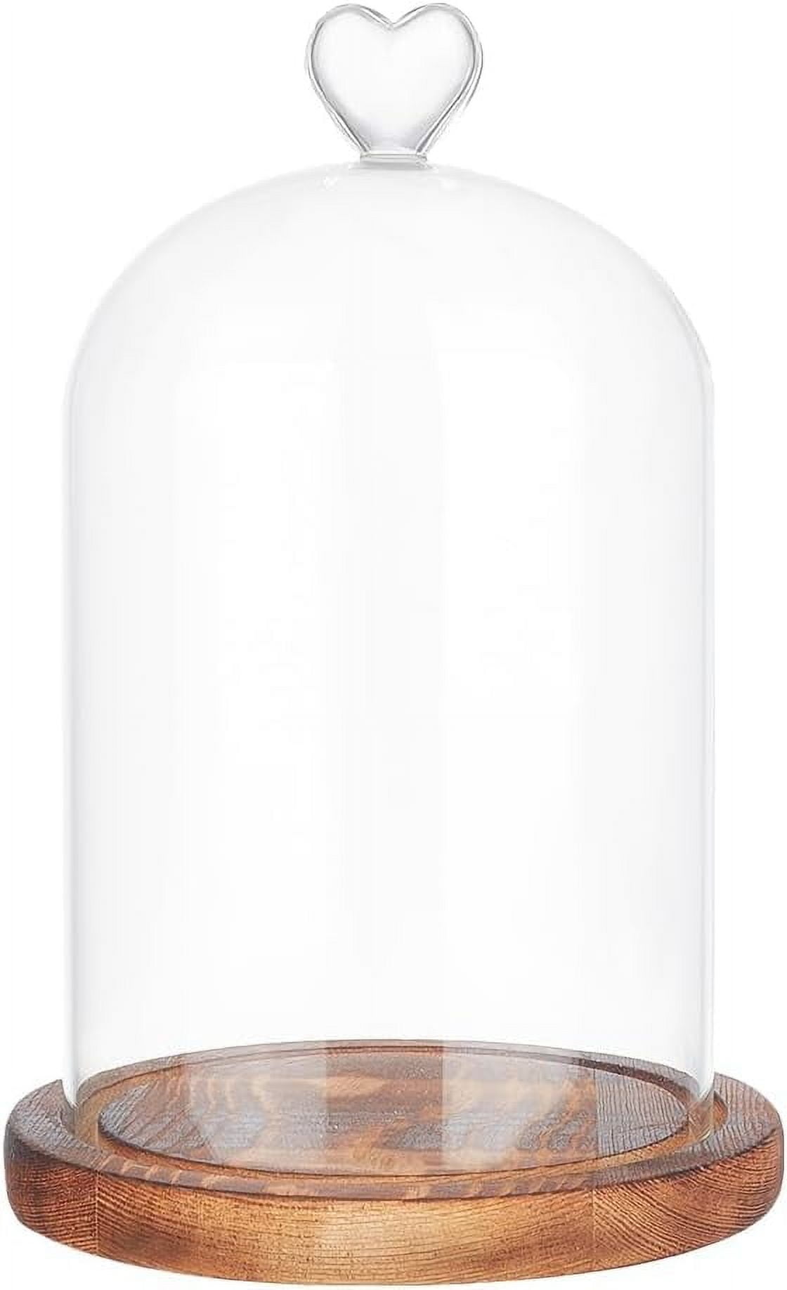 Heart Glass Dome 8.66 Inch Long Cloche Bell Jar Terrarium with Wood ...
