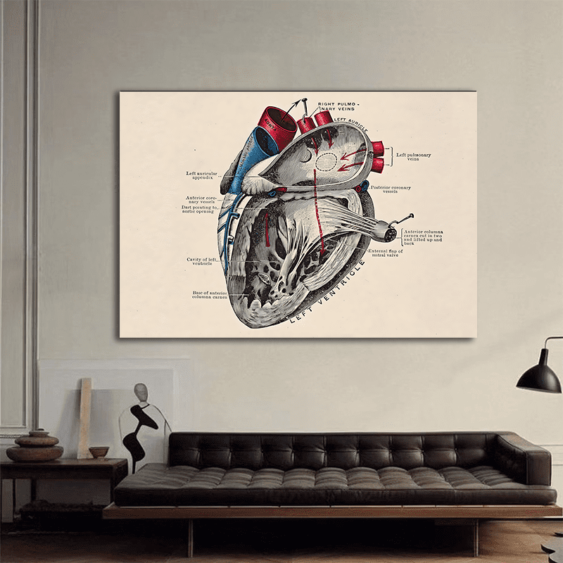 Heart Infographic Anatomy Artwork Poster Canvas Print Wall Art Bedroom ...