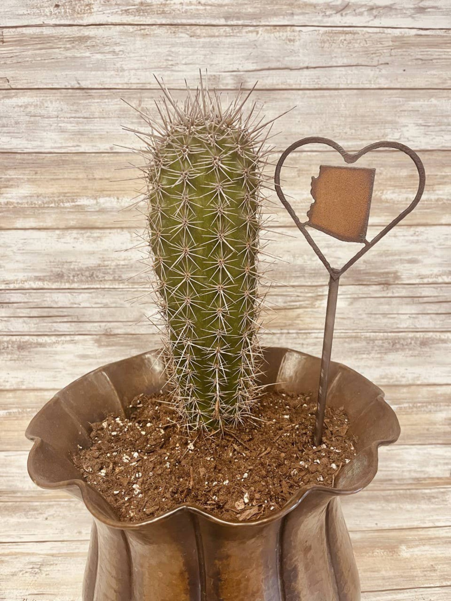 Heart Outline with Arizona State Shape Garden Plant Stake - Walmart.com