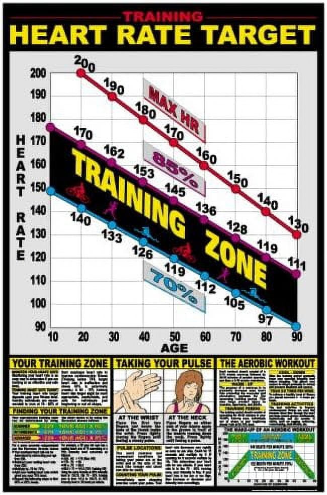 Heart Rate Chart 24" X 36" Laminated Chart - Walmart.com