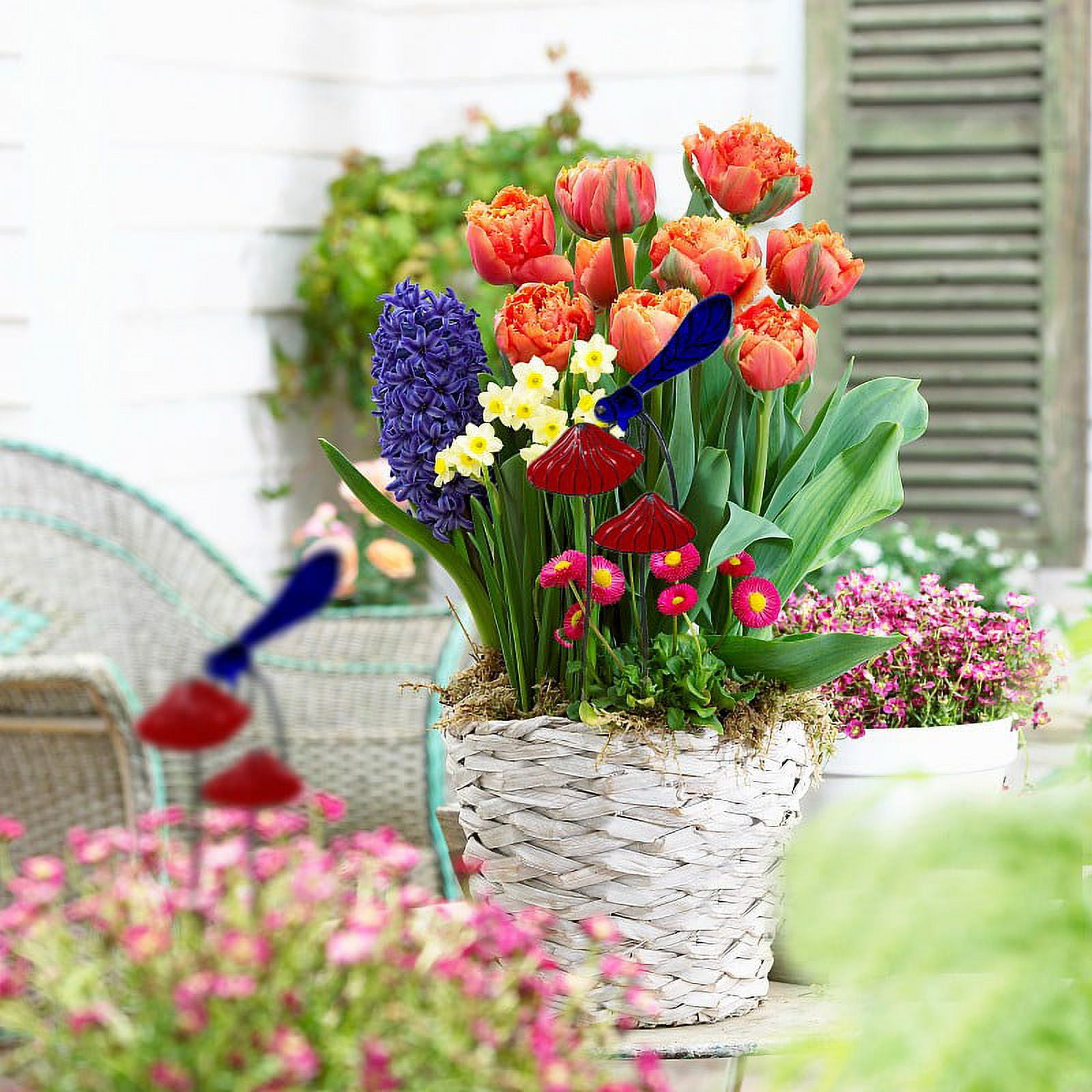 Heart Shaped for Cooking Flower for Indoor Shelving Unit Small Flower ...