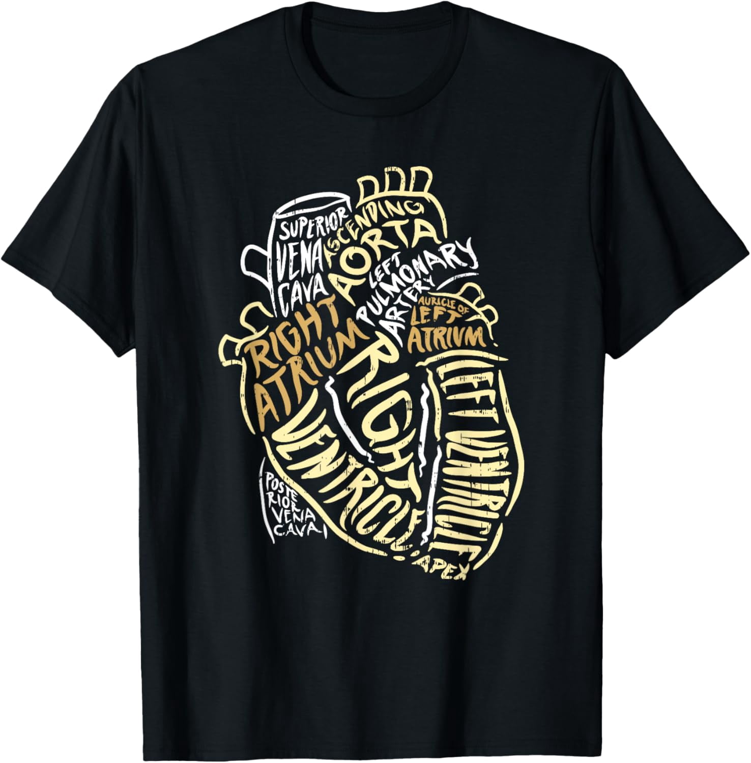 Heart Specialist Anatomy Doctor Medical Biology Organ Artery T-Shirt ...