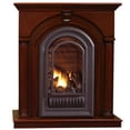 Hearth Sense Indoor Natural Gas Fireplace, Ventless with Logs - 20,000 ...