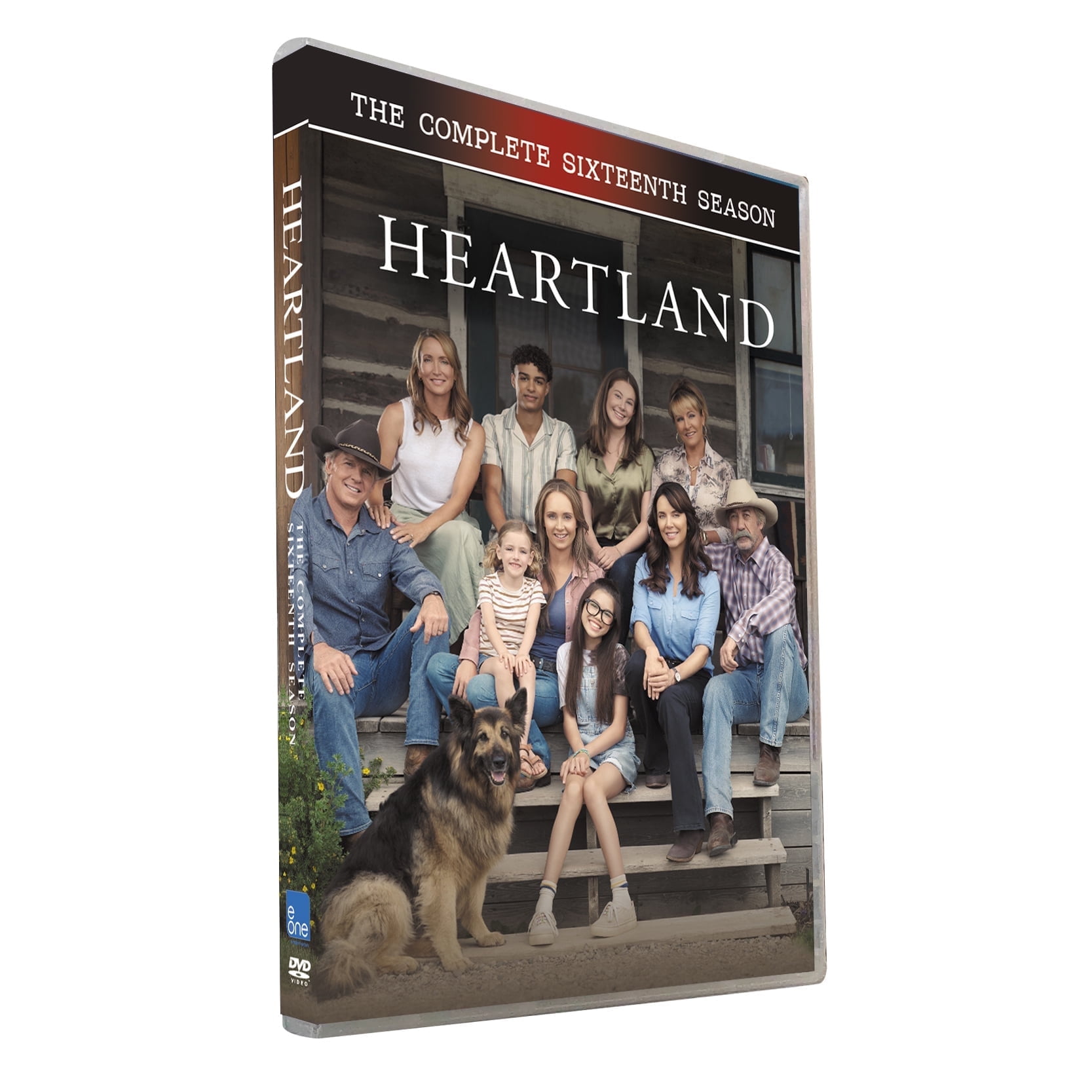 Heartland Complete Season 16 (DVD) - Walmart.com