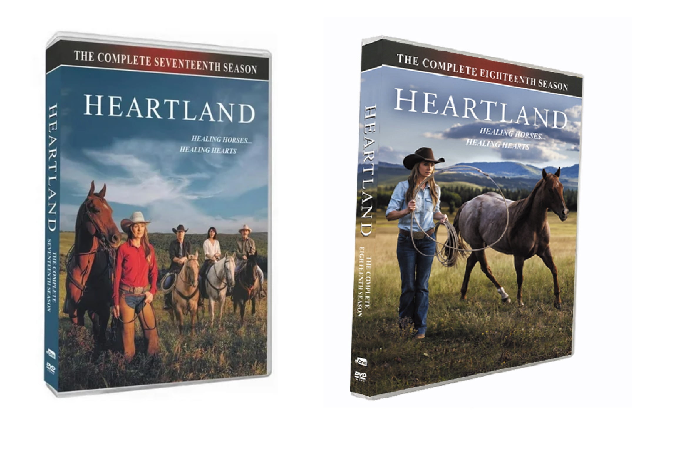 Heartland Season 17 and 18 (DVD) 5-Disc Box Set - Walmart.com