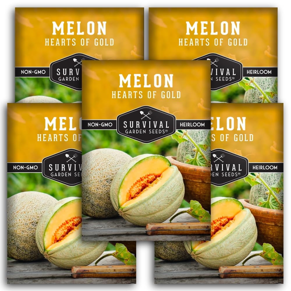 Hearts of Gold Melon Seeds - 5 pack - Non-GMO Heirloom Full Sun Annual ...