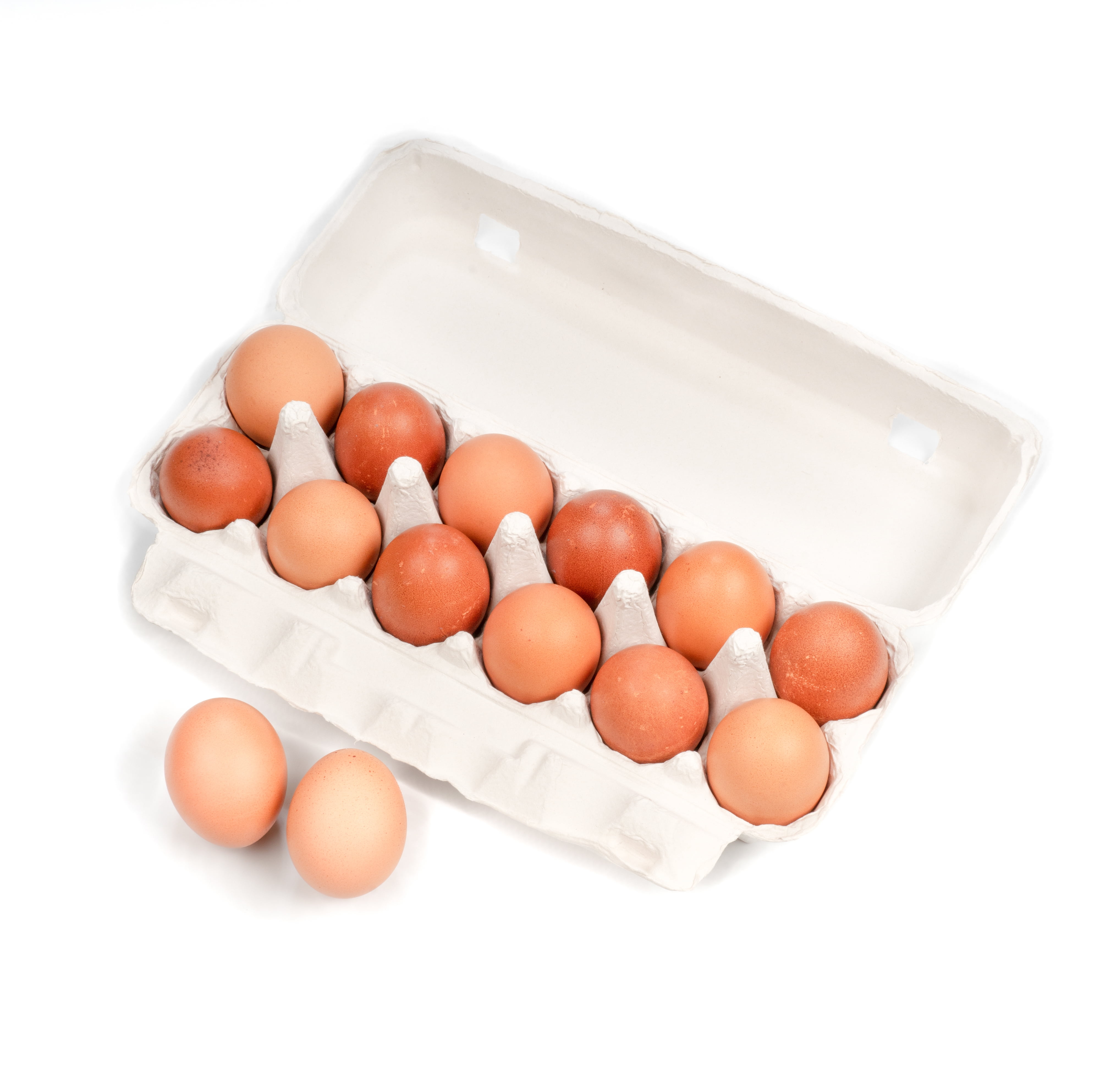 Hearty Produce Paper Egg Cartons Natural White (48-Pack) | 2x6 Style ...