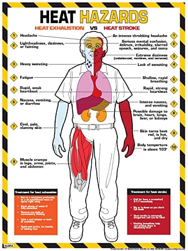 Heat Hazards - Heat Exhaustion vs Heat Stroke Safety Poster 18" x 24 ...