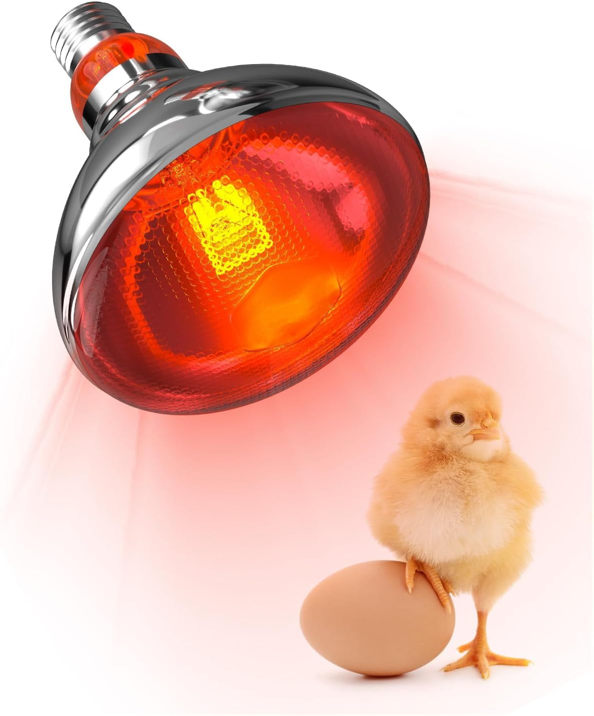 Heat Lamp Bulbs for Chickens Coop Brooder with Plug in Cord,On/Off ...