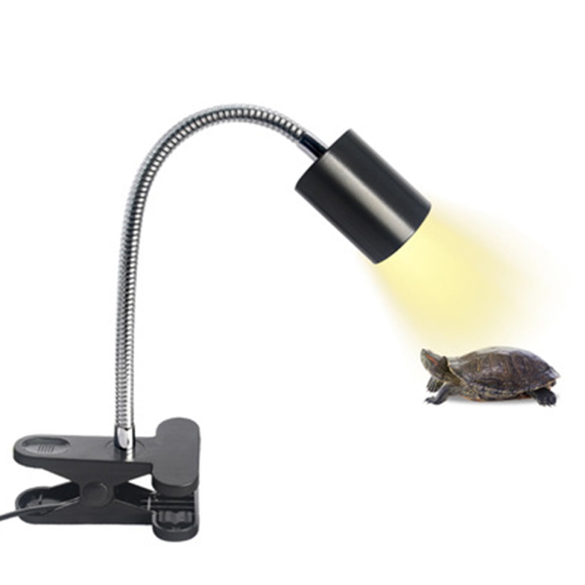 Heat Lamp for Reptiles Turtle,clamp Lamp Holder ,Heating lamp for ...