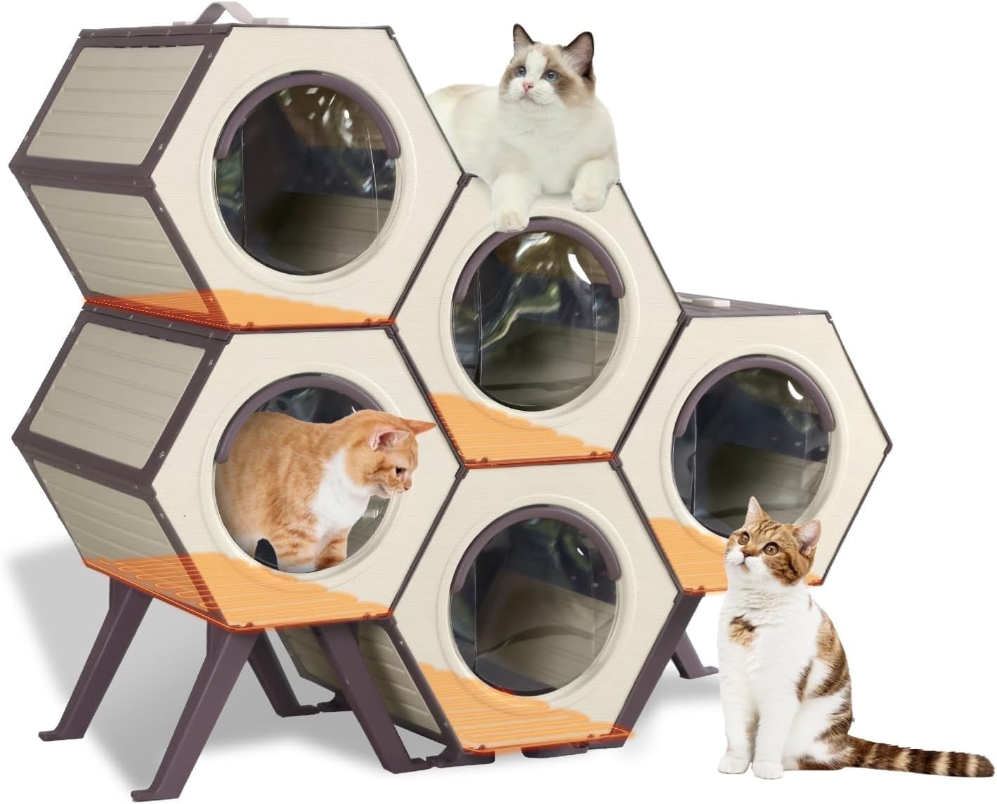 Aivituvin Outdoor Indoor Heated Cat House with Heater, Combined Cat ...