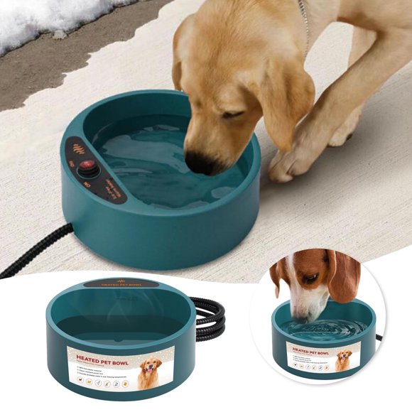 Water Bowl Heater