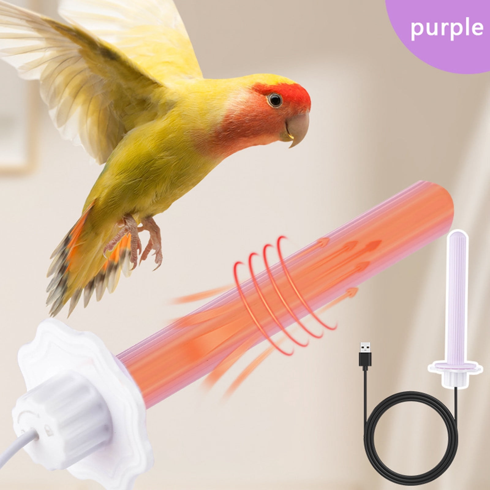 Heated Roosting Station Warmer For Birds Providing Cage Comfort With ...