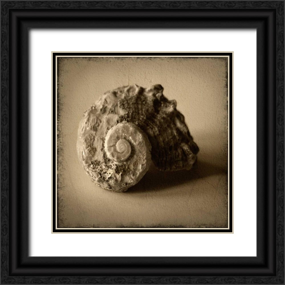 Heather Jacks 20x20 Black Ornate Wood Framed with Double Matting Museum Art Print Titled ...