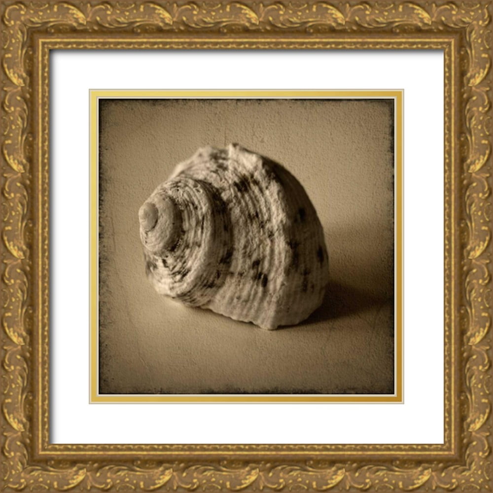 Heather Jacks 20x20 Gold Ornate Wood Framed with Double Matting Museum Art Print Titled ...