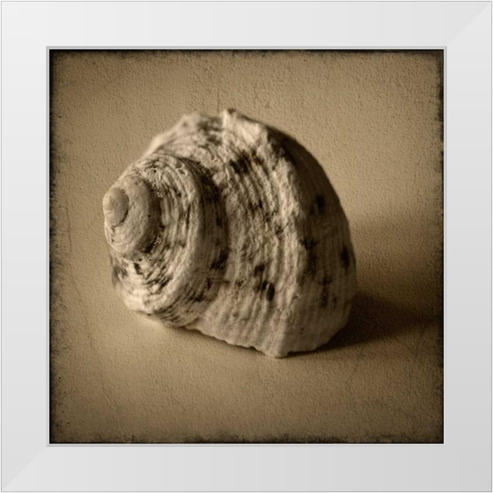 Heather Jacks 20x20 White Modern Wood Framed Museum Art Print Titled ...