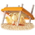 Heating Plate for Chicks, 10" x 10", 15W Brooder Heater with Adjustable ...