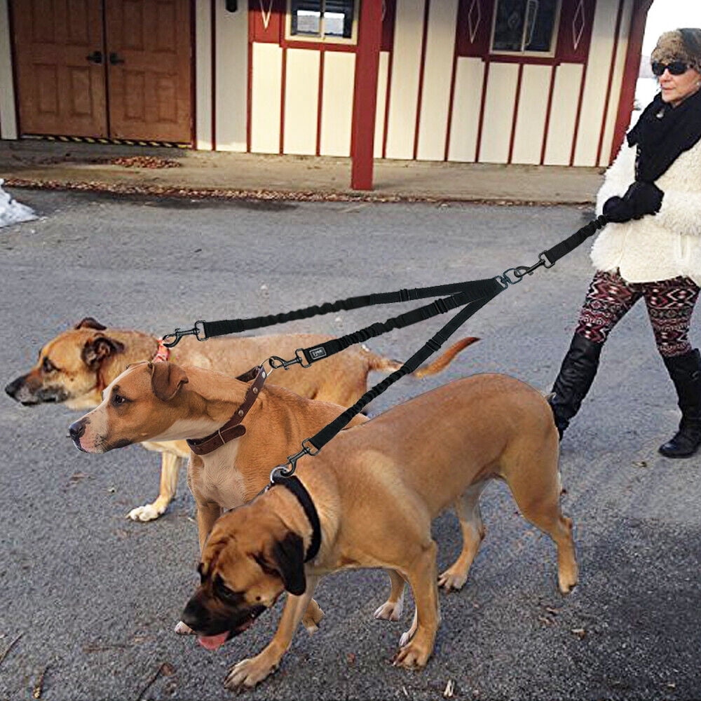 Heavy Duty 3 Way Dog Coupler Leash Triple Bungee Lead Adjustable for ...