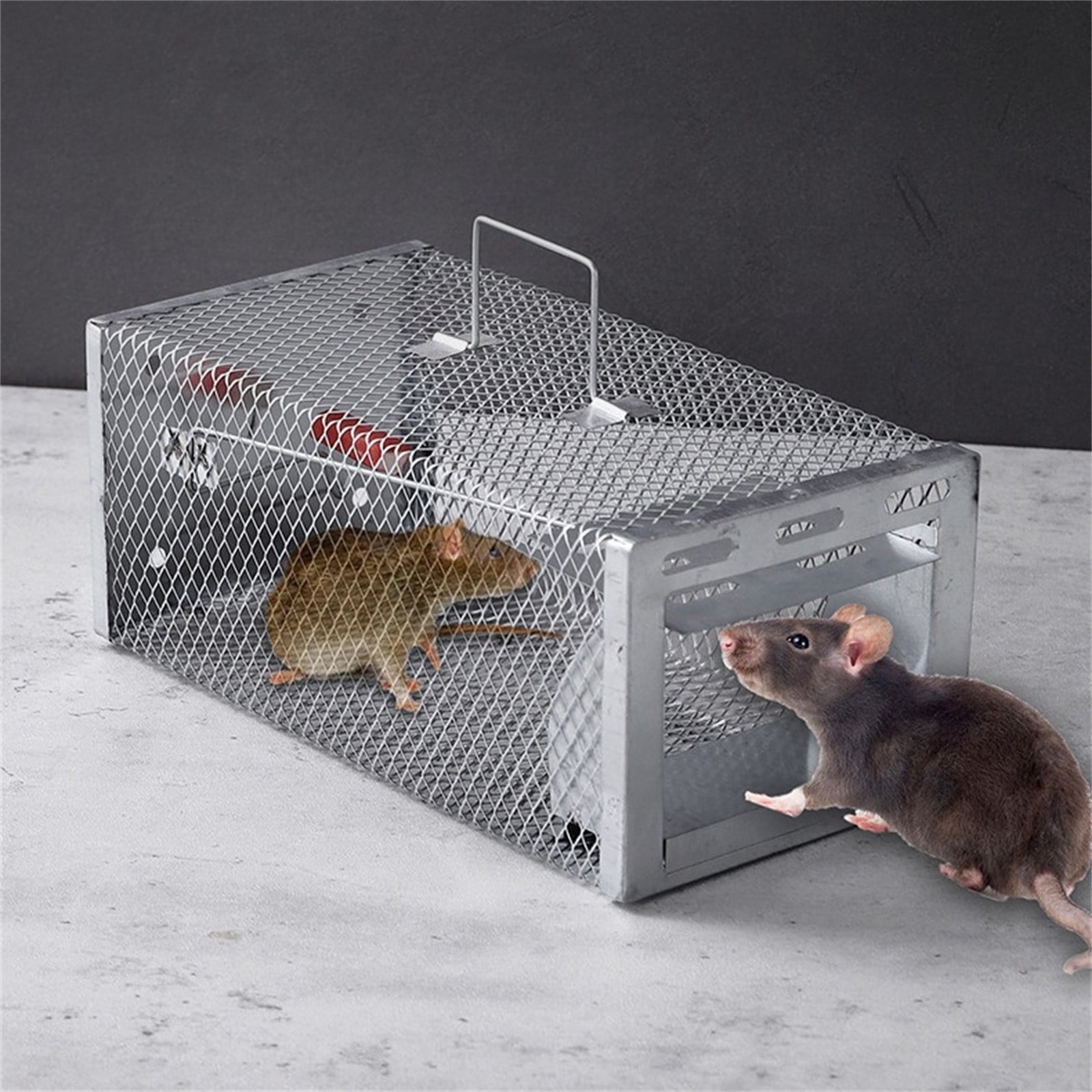 Heavy-Duty Automatic Metal Rodent Trap Cage for Large Rats - Humane ...