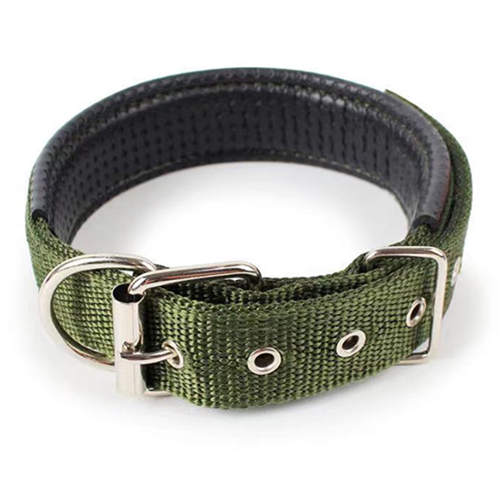 Heavy Duty Dog Collar with Handle for Medium and Large Dogs – Collar ...