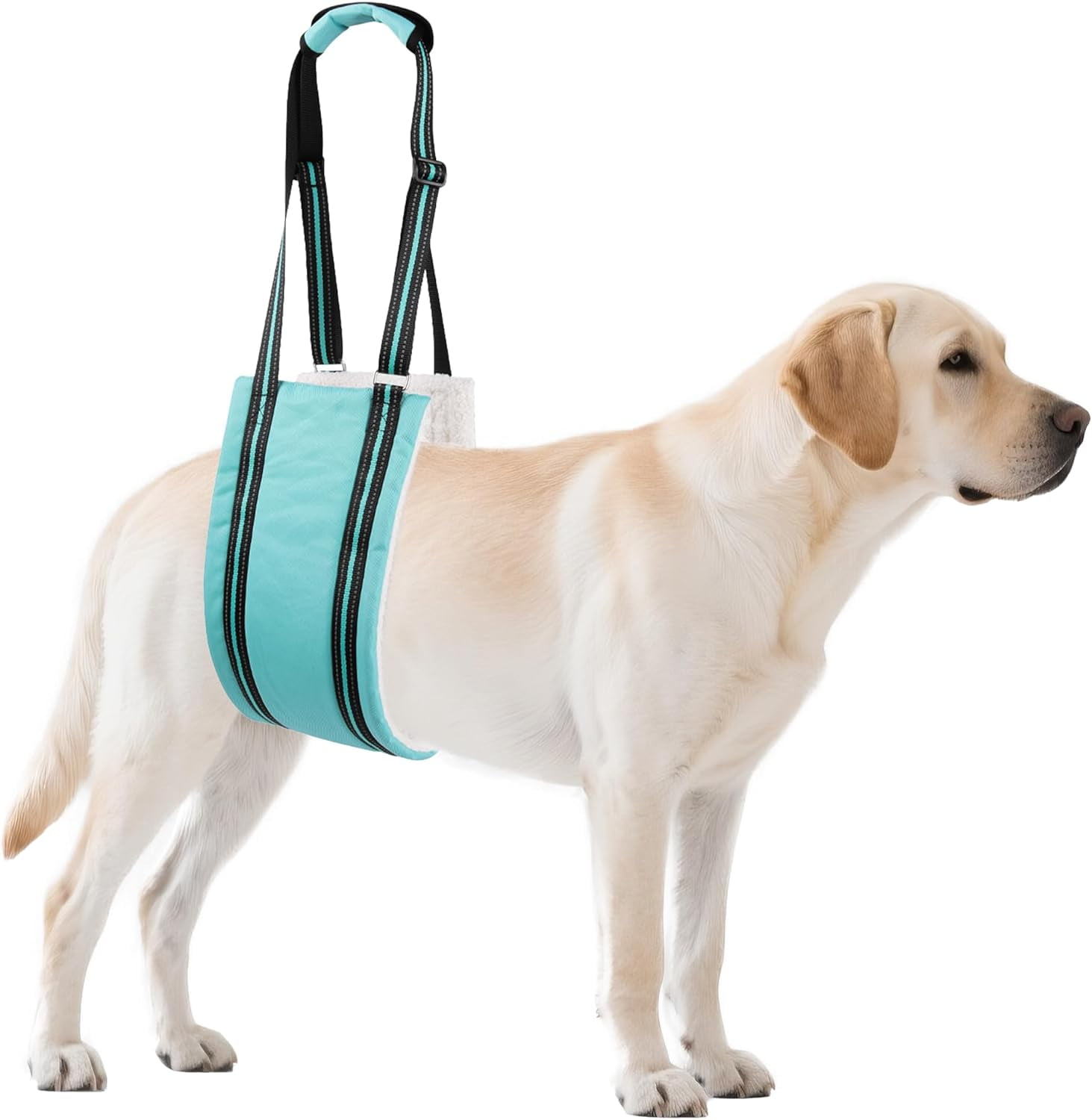 Heavy-Duty Dog Lift Harness - Adjustable Hind Leg Support Sling for ...