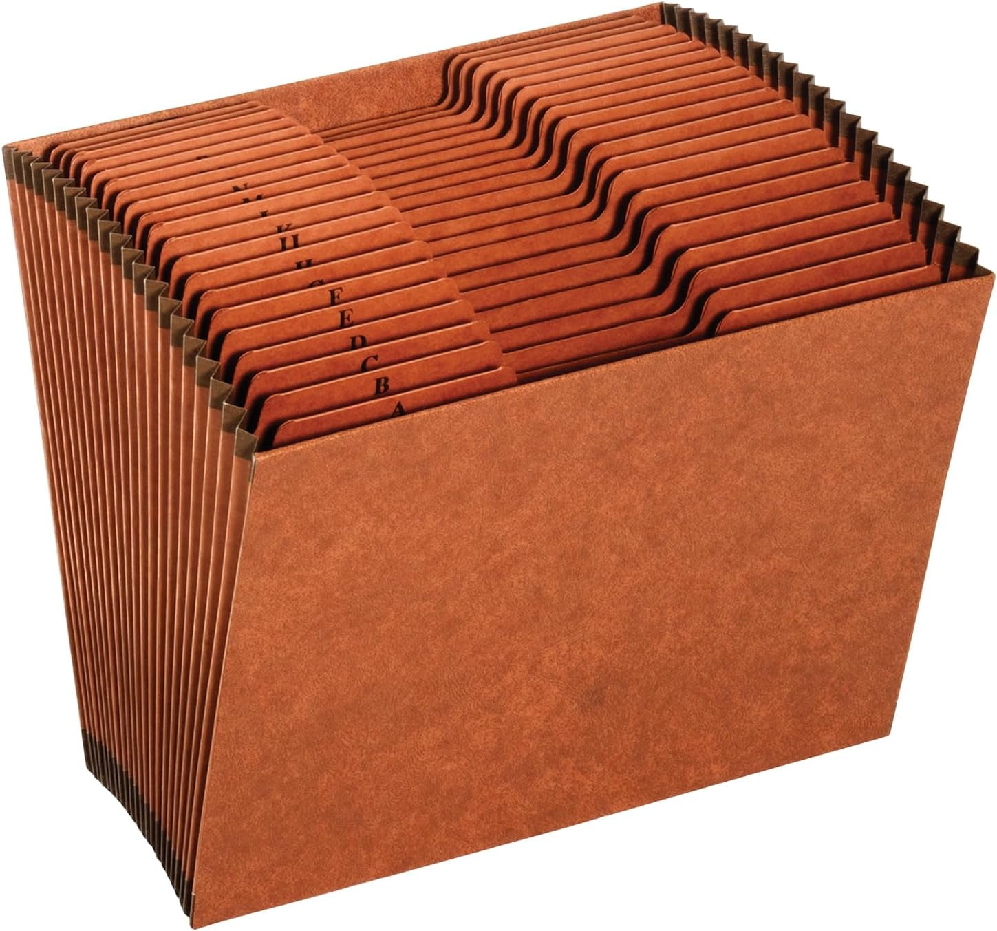 Heavy Duty Expanding File Folder - 21 Pockets with A-Z Tabs & Blank Customizable 1/3 Tabs ...