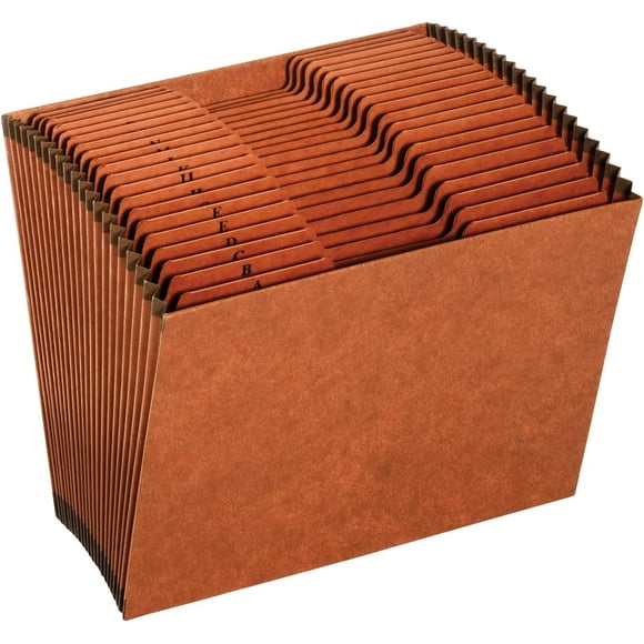 Alphabetical File Organizer