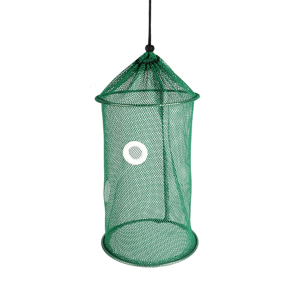 Heavy Duty Foldable Fish Basket Baits Cage for Catching Live Fish and ...