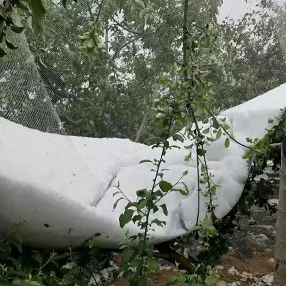 Heavy Duty Garden Netting, Flexible Anti Hail Mesh for Plants ...