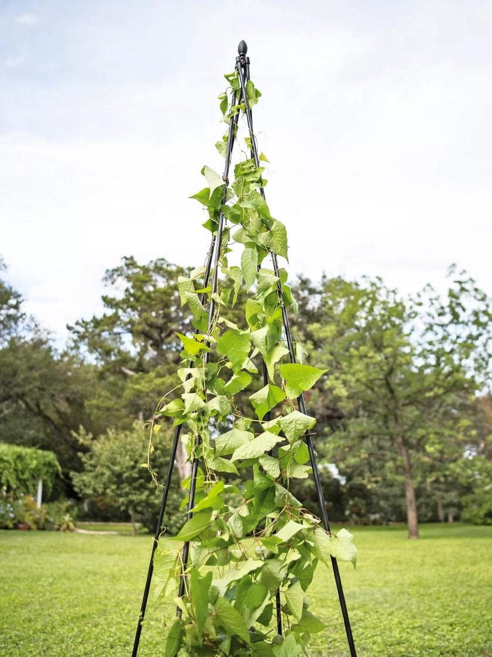 Heavy Duty Garden Teepee Trellis, Extra Tall 87" Plant Support for Peas ...