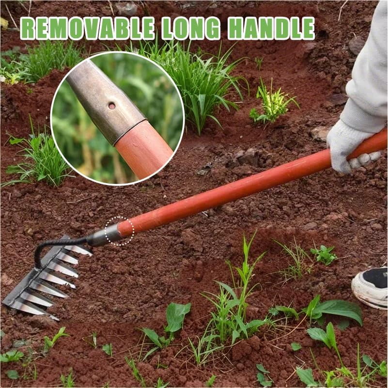 Heavy-Duty Gardenia Iron Weeding Rake, 8 Teeth Carbon Steel Rakes for ...