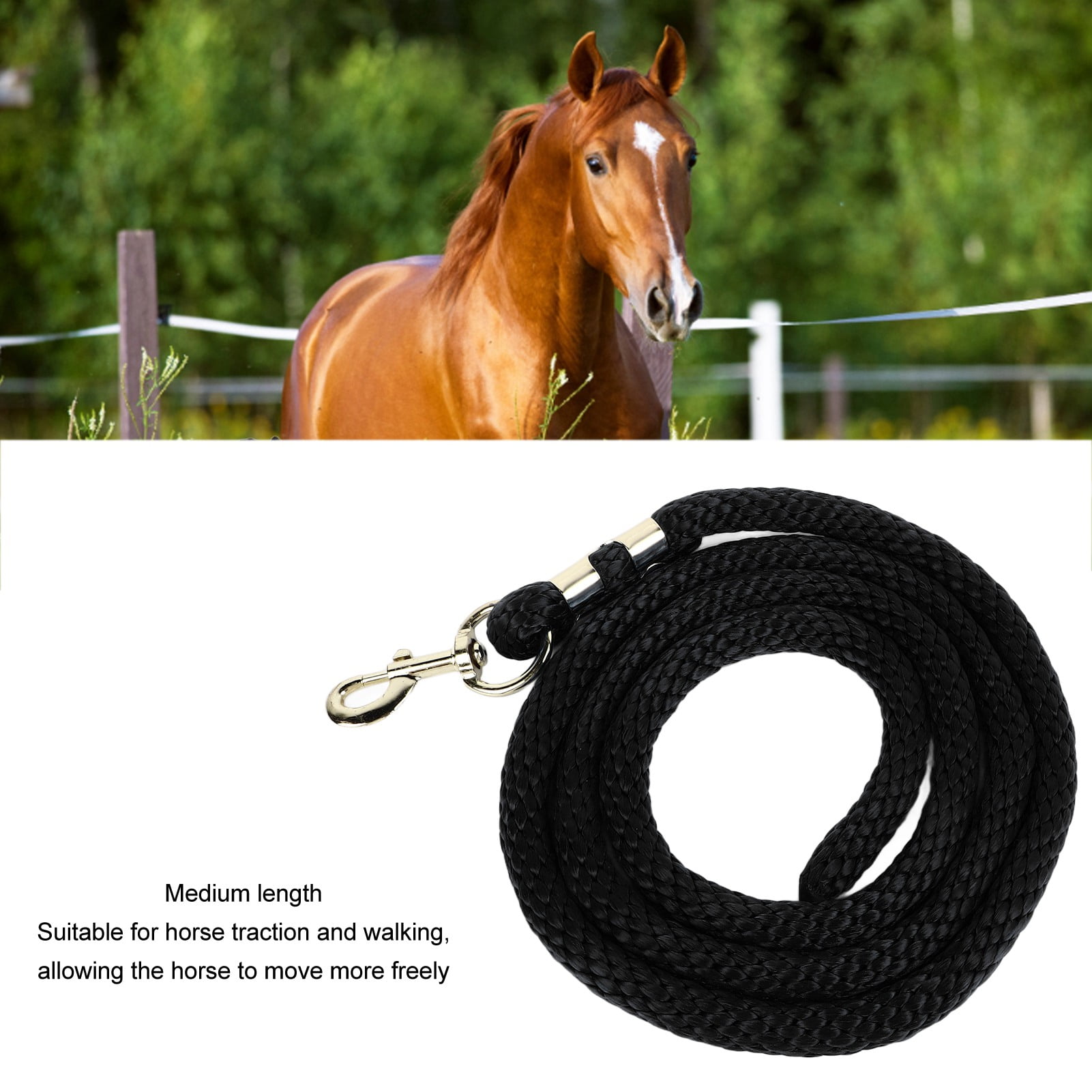 Heavy Duty Horse Lunge Line With Snap 6. 6ft Navy Blue Training Rope ...
