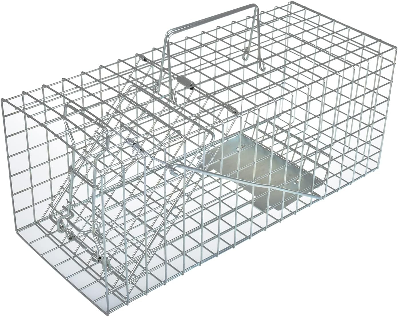 Heavy Duty Humane Live Animal Cage Trap for Squirrels, Weasels and ...
