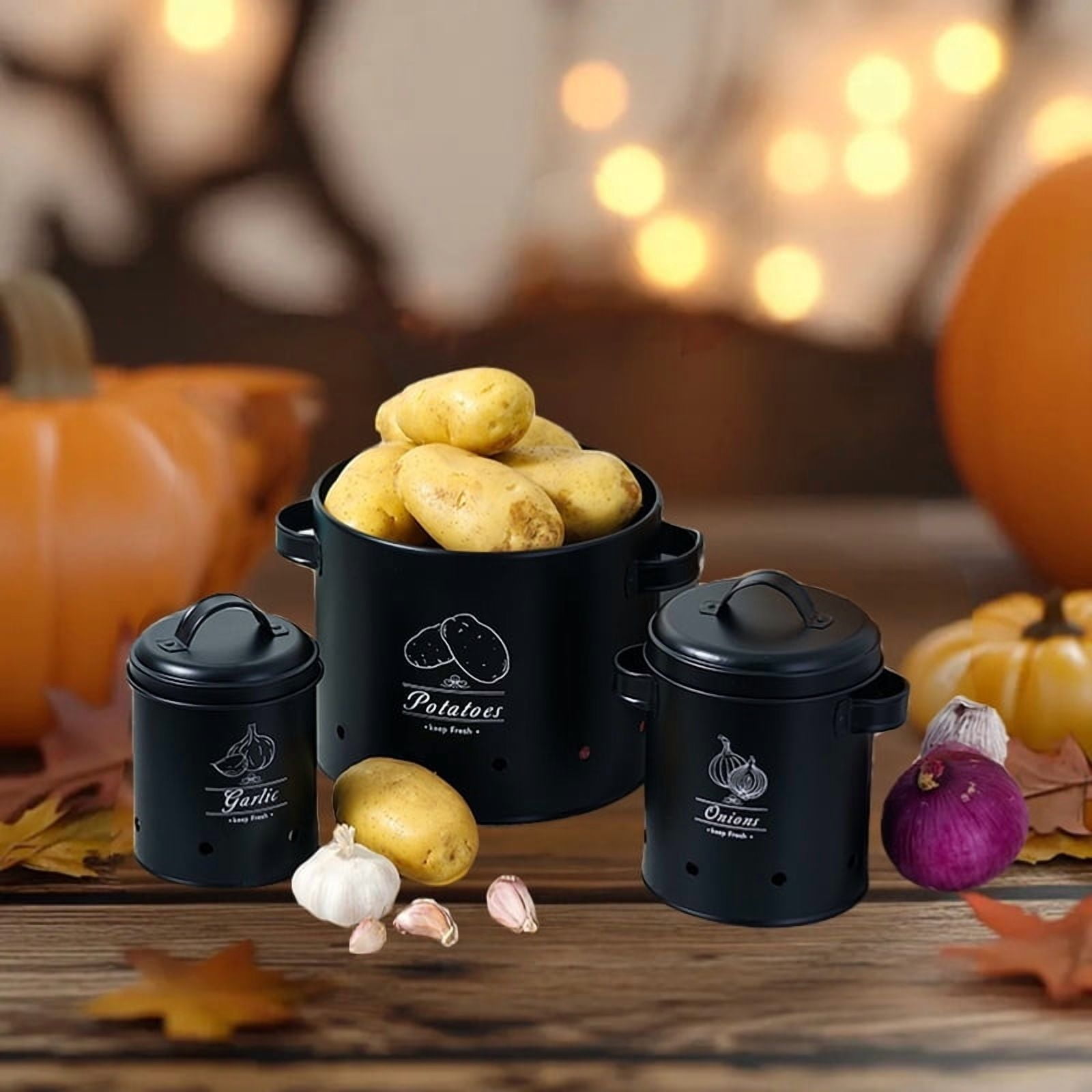 Heavy-Duty Iron Airtight Onion & Potato Storage Container with Light ...