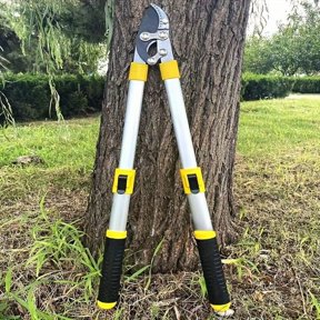 Long Handled Shears