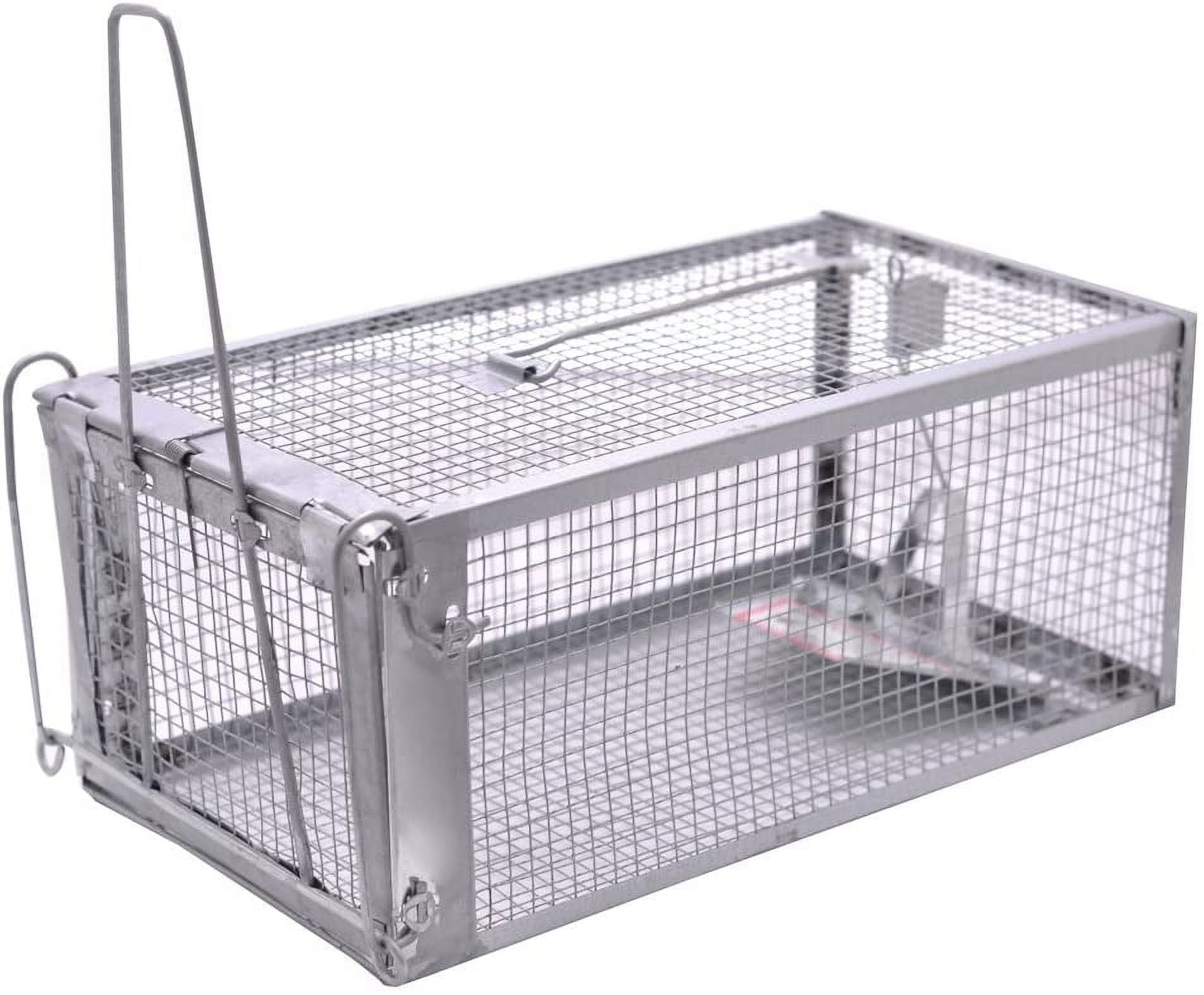 Heavy-Duty Metal Cage Trap for Safe Rodent Control Effective Mouse ...