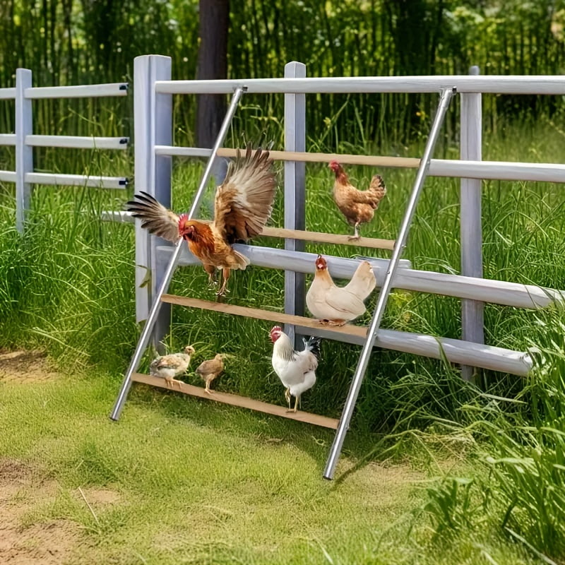 Heavy-Duty Metal Chicken Coop Perch - Ladder-Style with Multi-Level ...