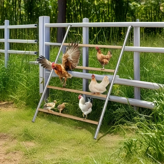 Heavy-Duty Metal Chicken Coop Perch - Ladder-Style with Multi-Level ...