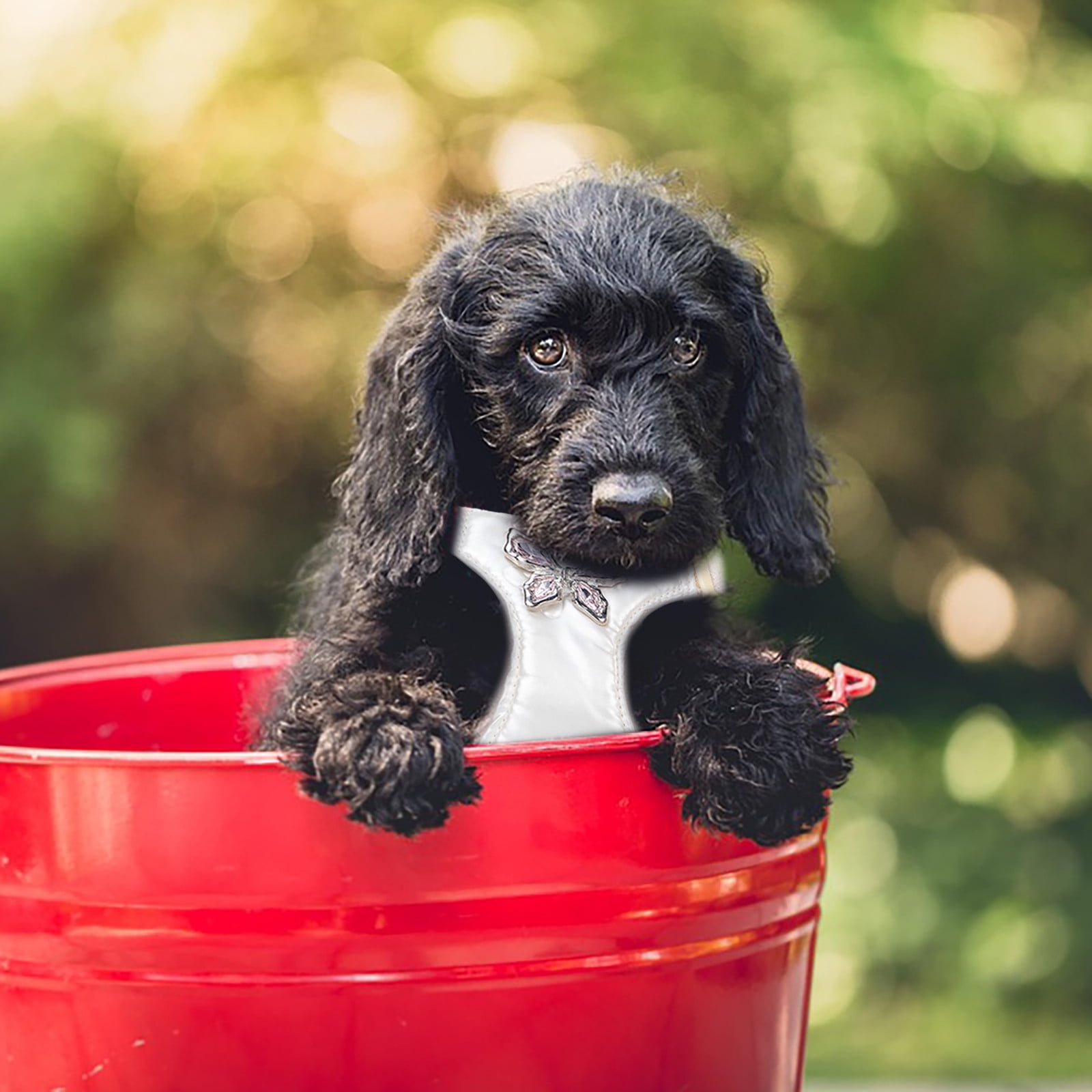 Heavy Duty No Pull Dog Harness With Padded Vest Reflective Stitching ...