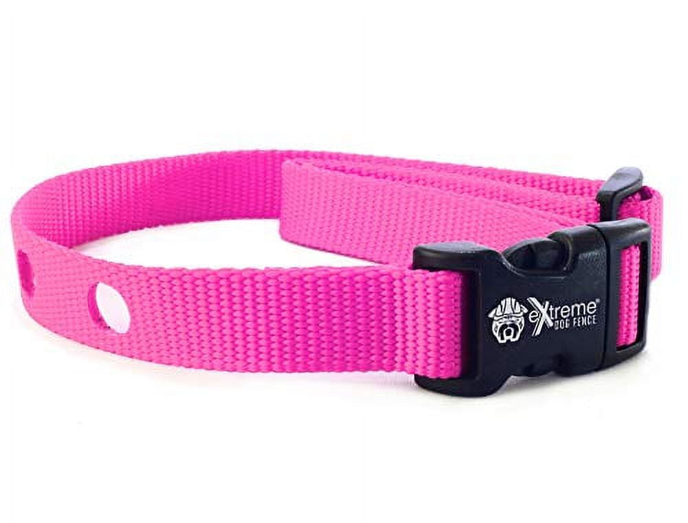 Heavy Duty Nylon Replacement Collar Strap-Compatible with Nearly All ...