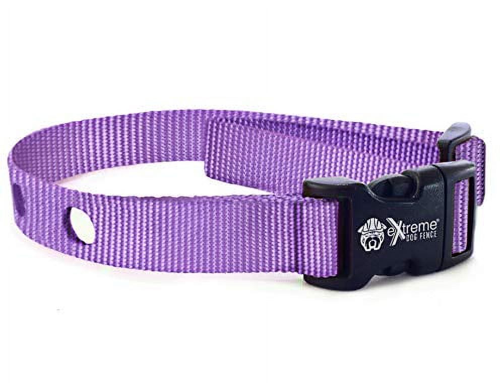 Heavy Duty Nylon Replacement Collar Strap- Compatible with Nearly All ...