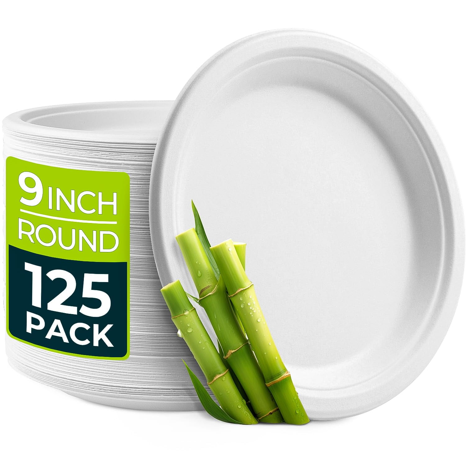 Heavy Duty Paper Plates Disposable 9 Inch H2FSD[125-Pack], Paper Plate ...