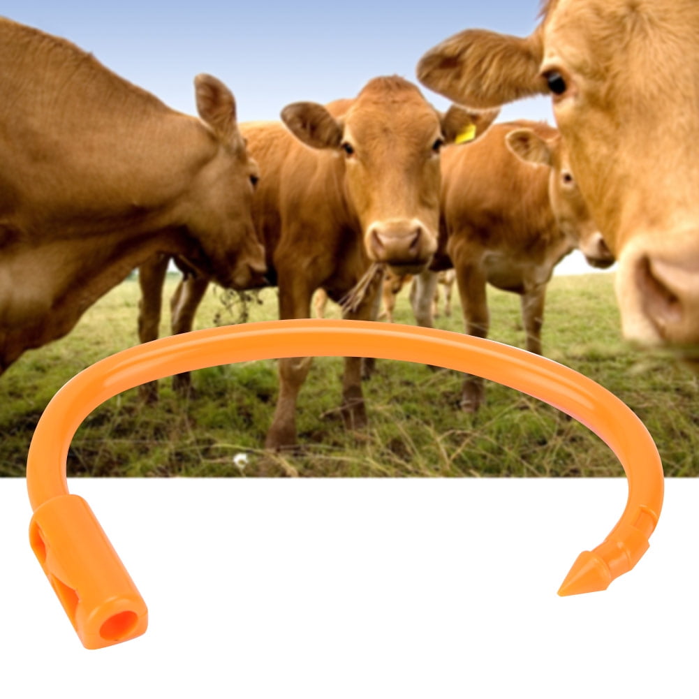 Heavy,Duty Plastic Bull Nose Ring, Smooth, Secure, Reliable For ...