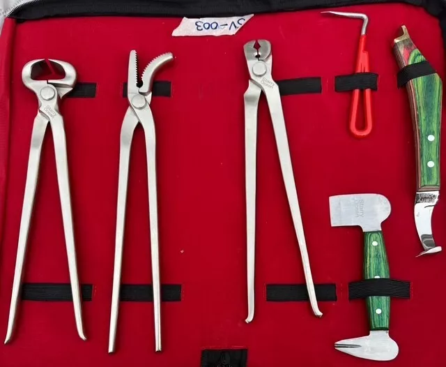 Heavy Duty Professional Farrier Tool Kit for Horse Hoof Care, Clincher, Nipper Tools for ...