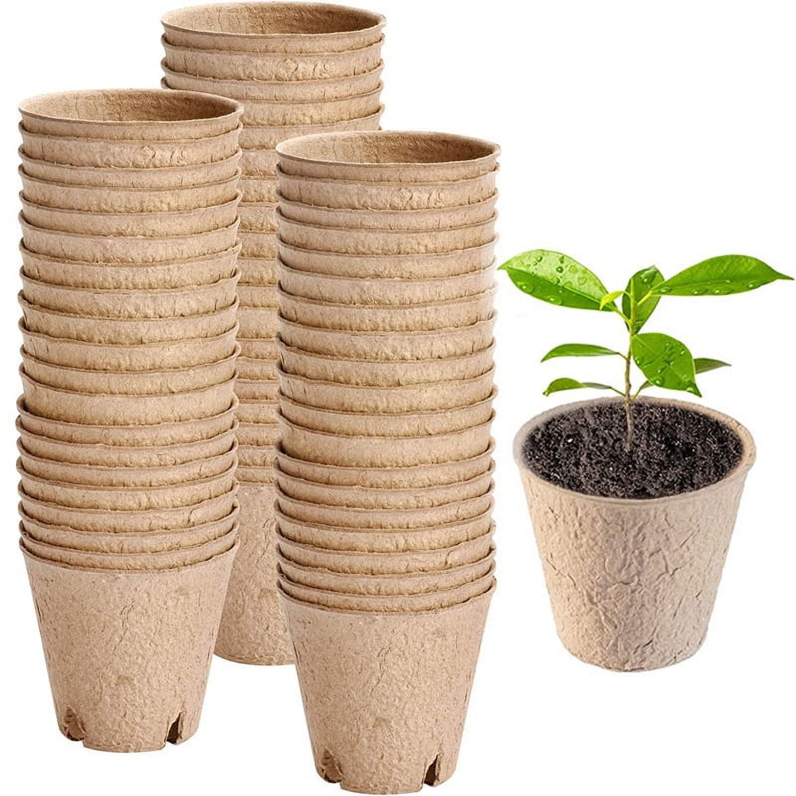 Heavy-Duty Pulp Seedling Pots - Disposable, Nursery Cups for Succulent ...