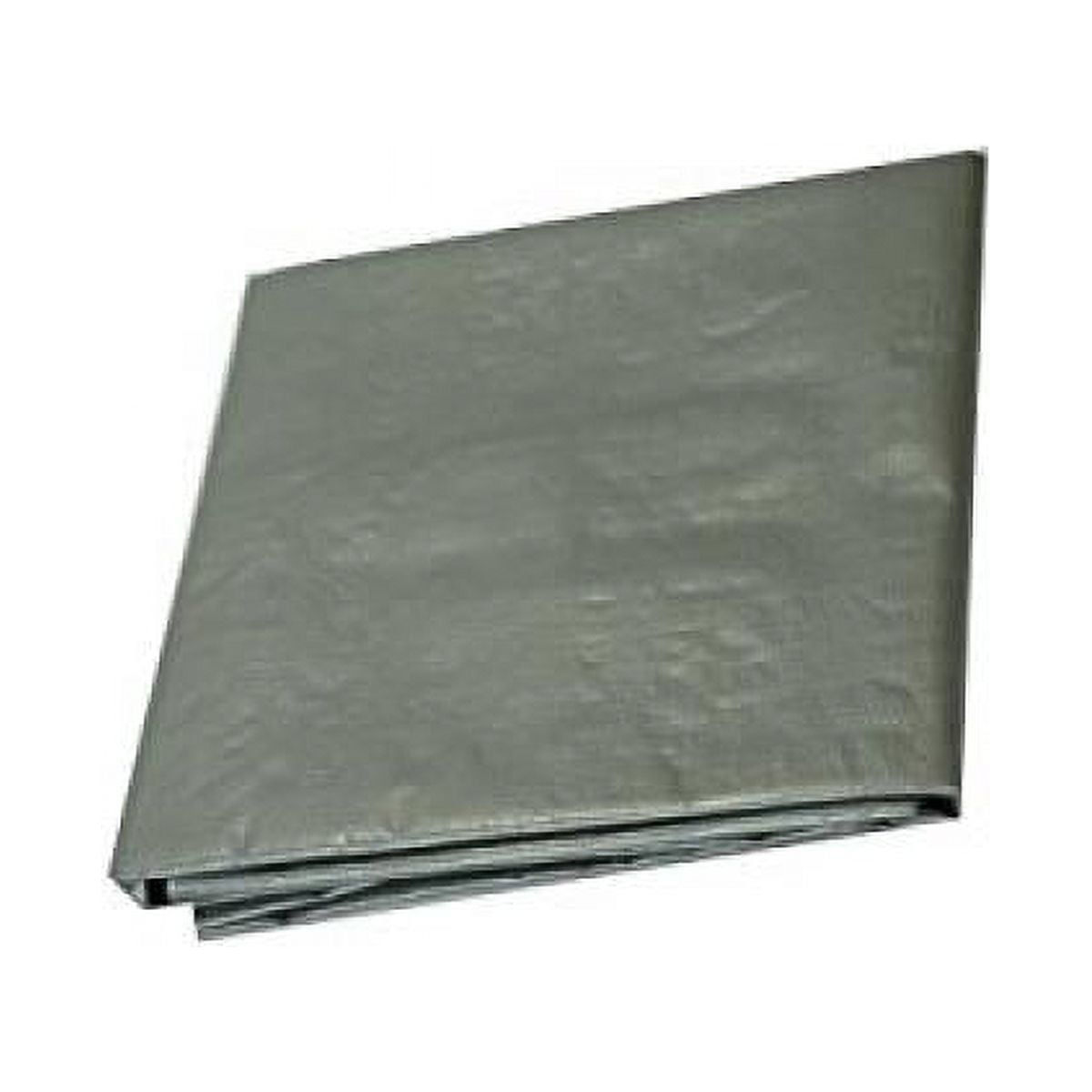 Heavy Duty Silver Tarp 6 Oz., 10'X40' - Walmart.com