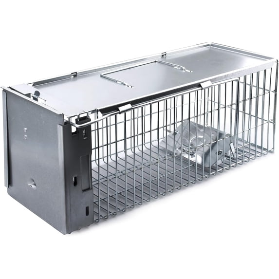 Heavy Duty Squirrel Trap Chipmunk Trap Rat Trap and Other Similar-Size ...
