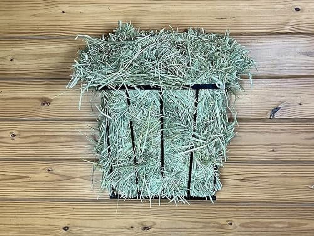 Heavy Duty Steel Wall Hay Rack by Dutch Ranch| Steel Hay Rack for Sheep ...